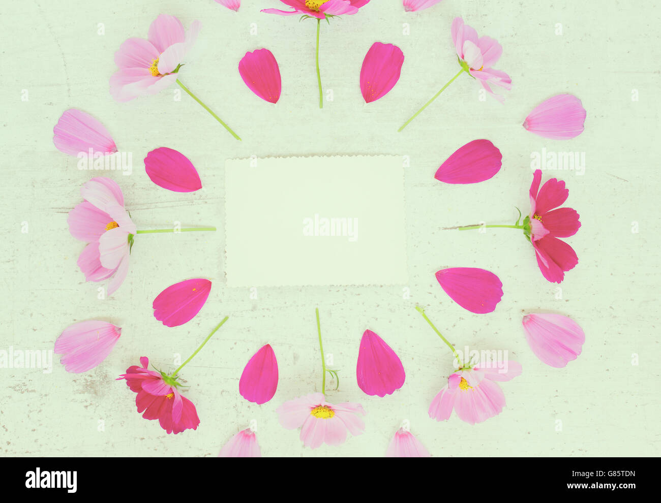 Cosmos flower wreath hi-res stock photography and images - Alamy