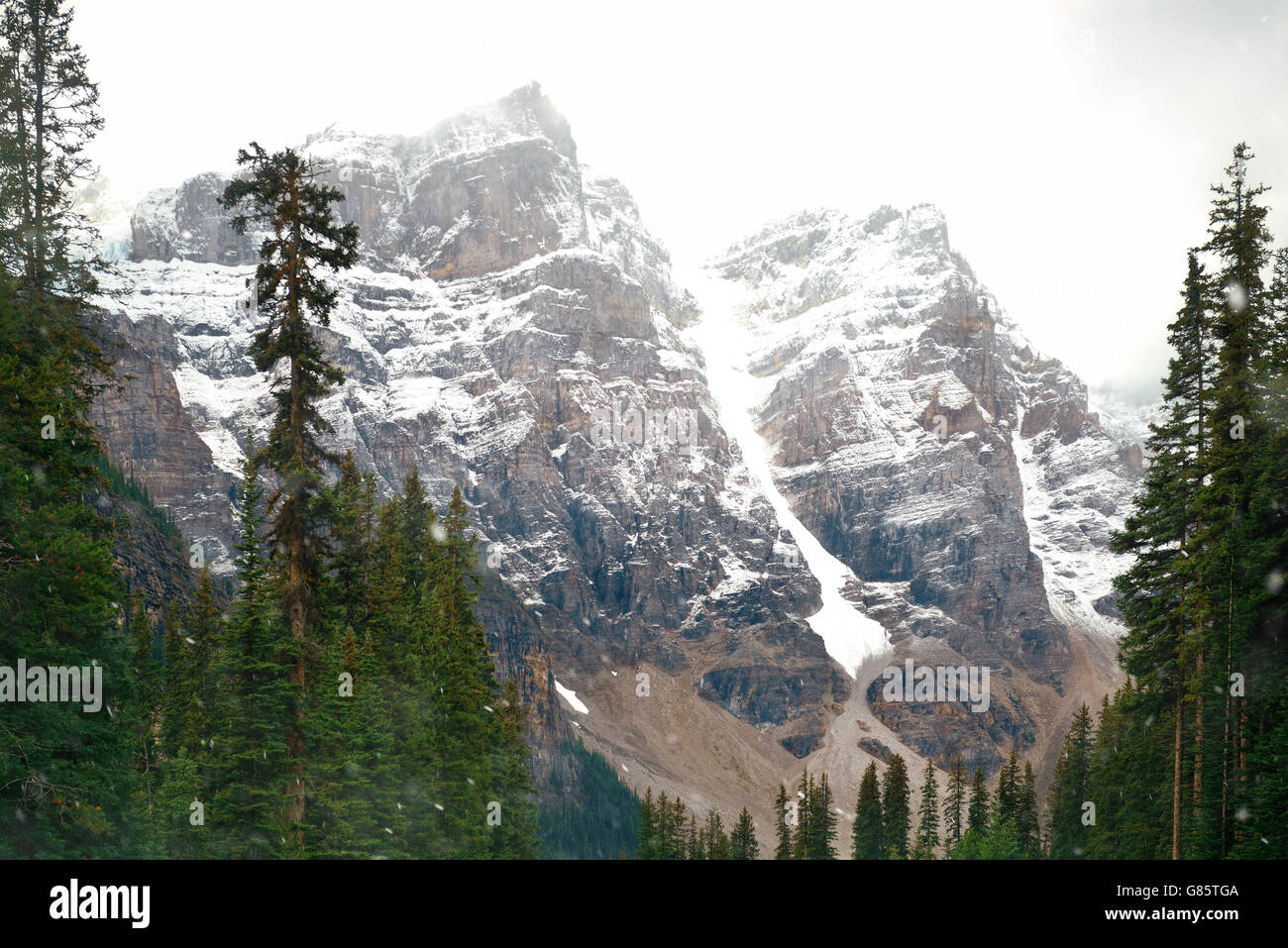 Snow capped mountain of Banff National Park in Canada Stock Photo - Alamy