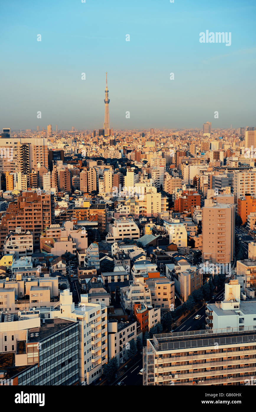 Tokyo urban skyline rooftop view with Skytree, Japan Stock Photo - Alamy