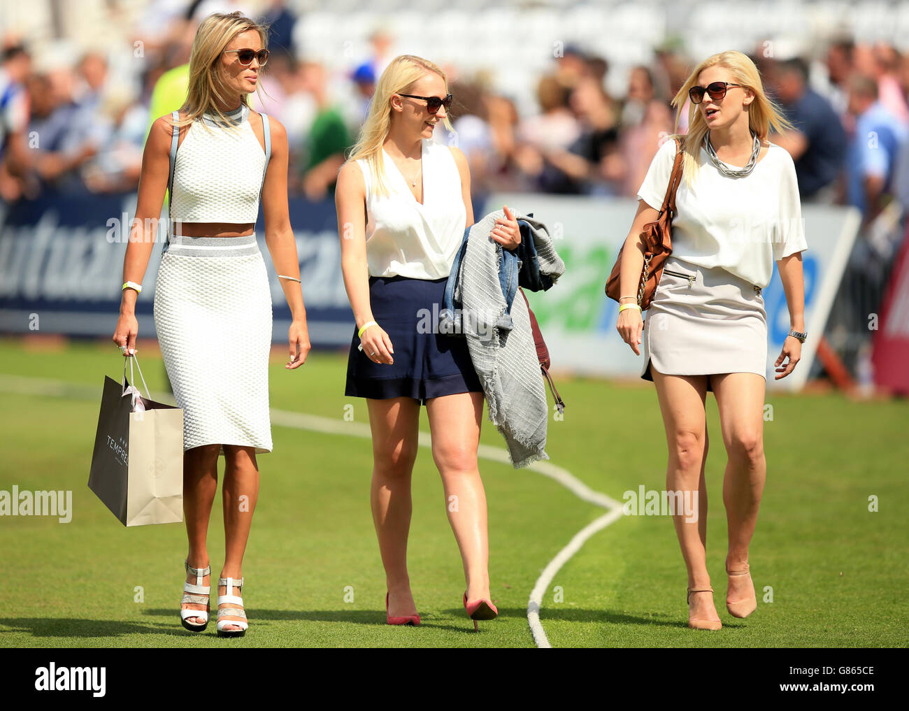 Bealey Mitchell (broad), unknown, Carrie Cotterill (root Stock Photo ...