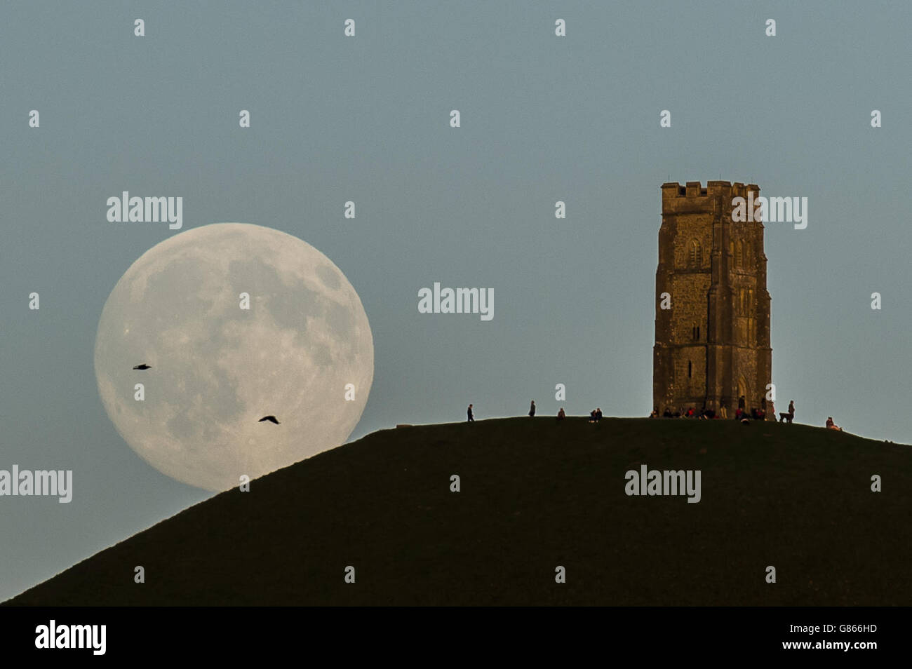 The moon rises over Glastonbury Tor, Somerset, as people gather in ...