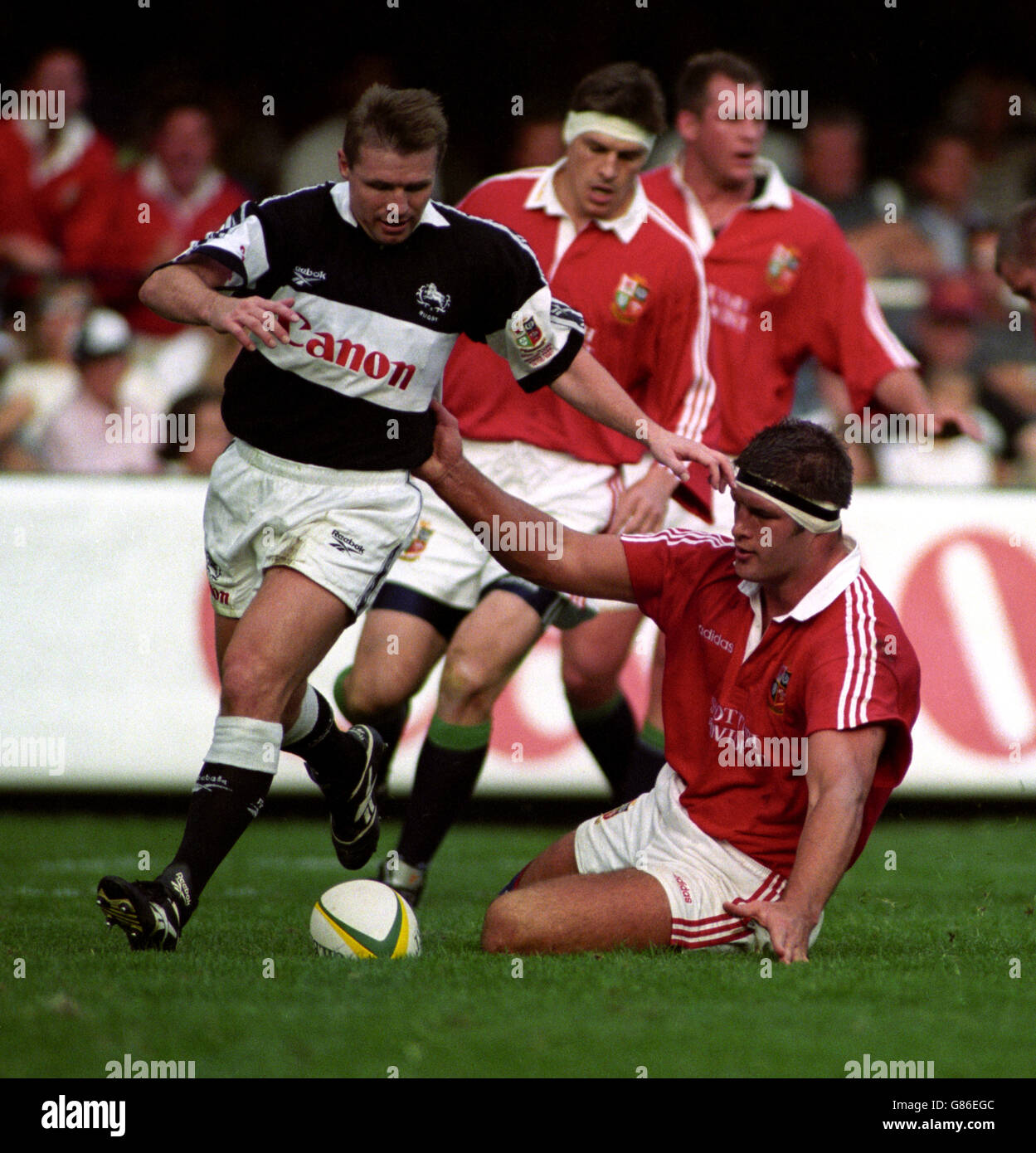 Lions Simon Shaw High Resolution Stock Photography and Images - Alamy