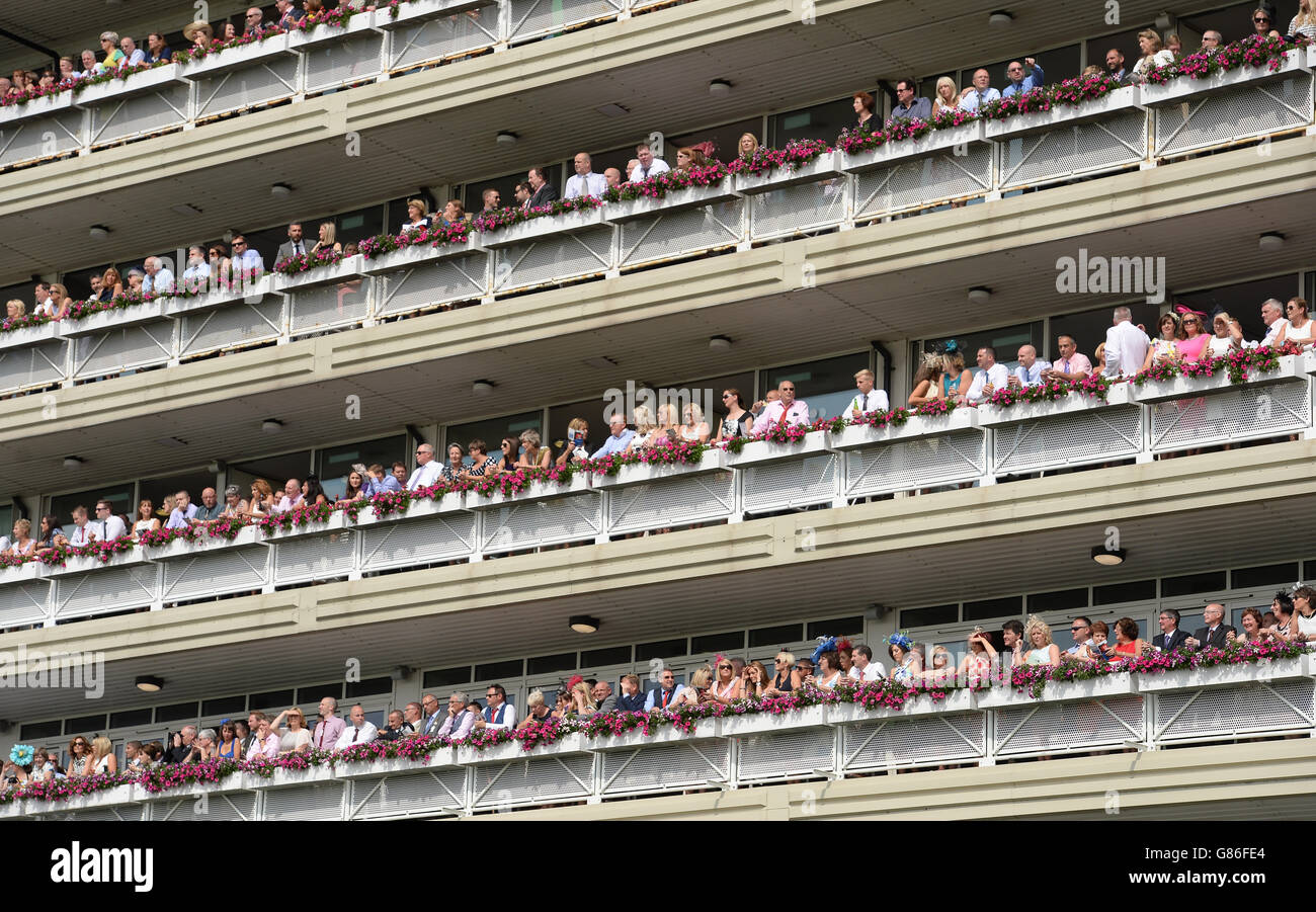 York Grandstand High Resolution Stock Photography and Images - Alamy