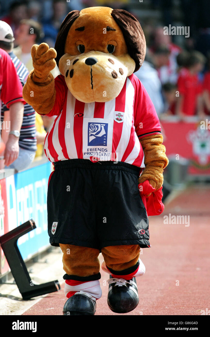 Southampton mascot hi-res stock photography and images - Alamy