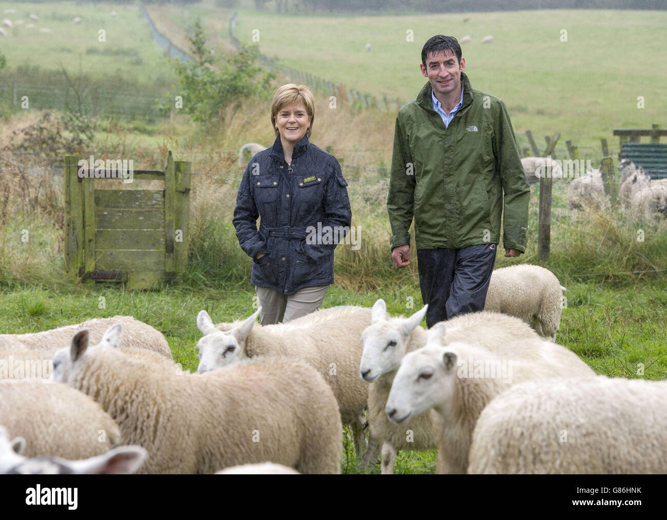 First Minster Nicola Sturgeon is shown lambs being prepared for market ...