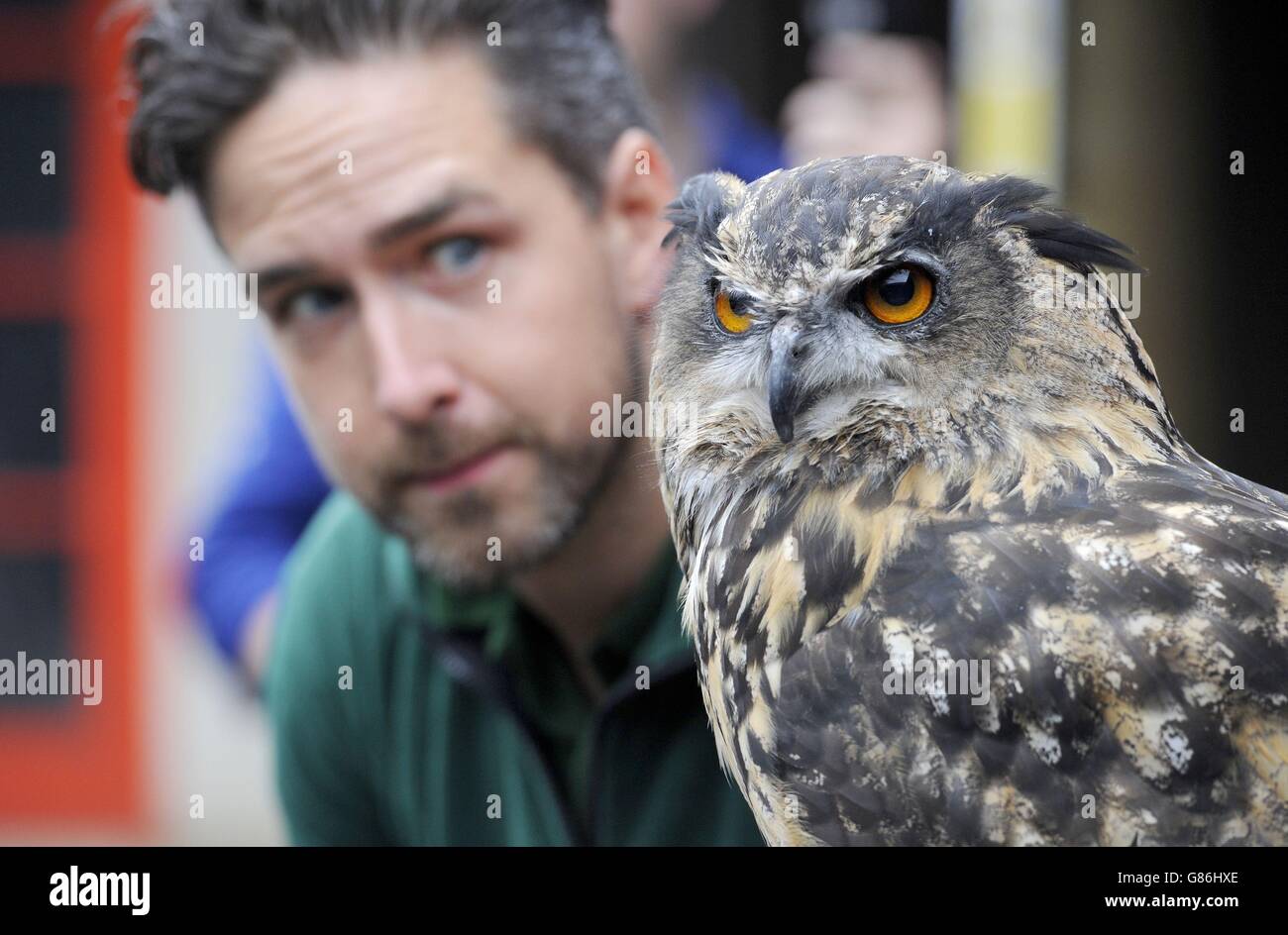 Max the owl hi-res stock photography and images - Alamy