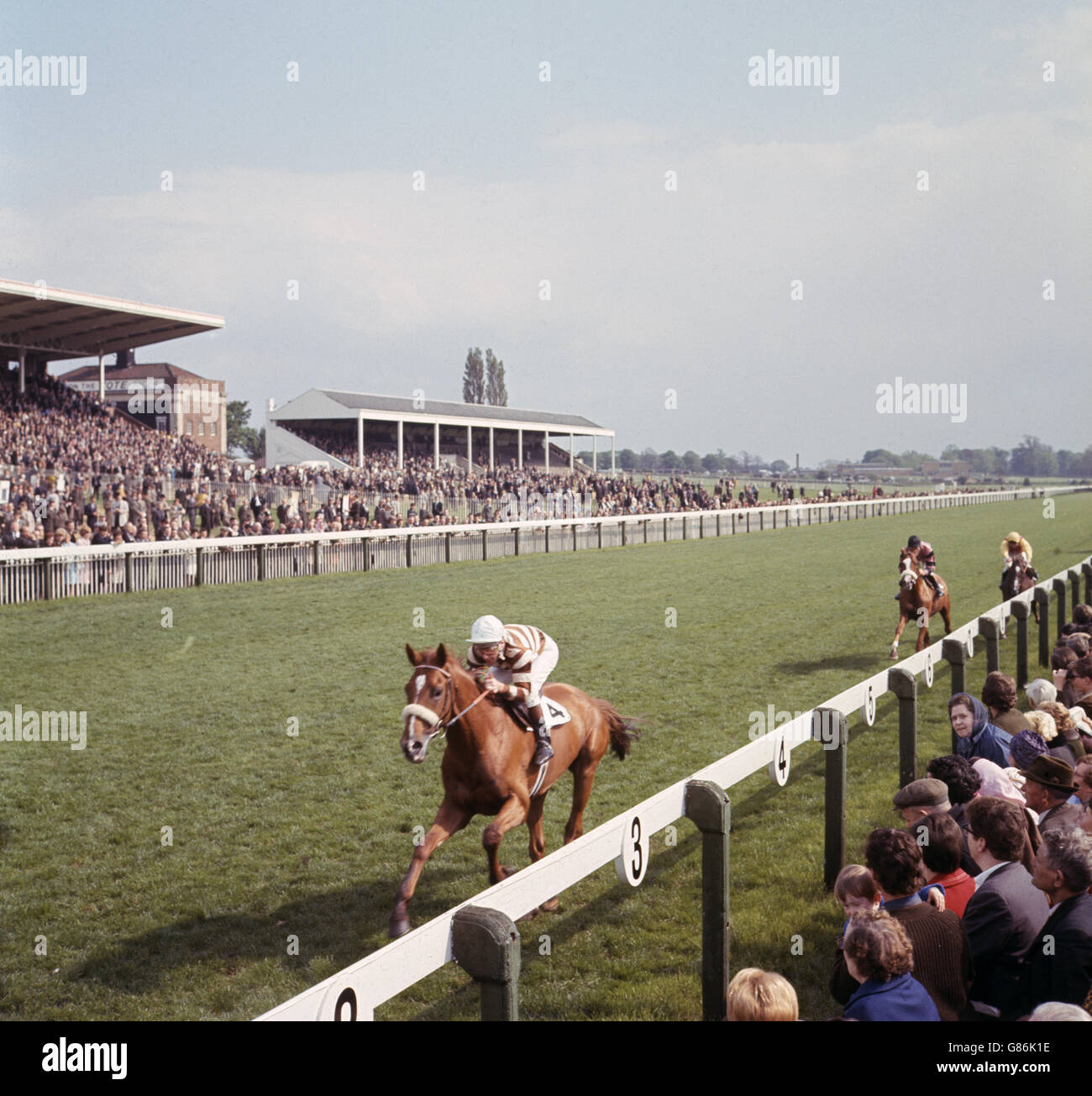 Horse Racing - Yorkshire Cup - York Races Stock Photo - Alamy