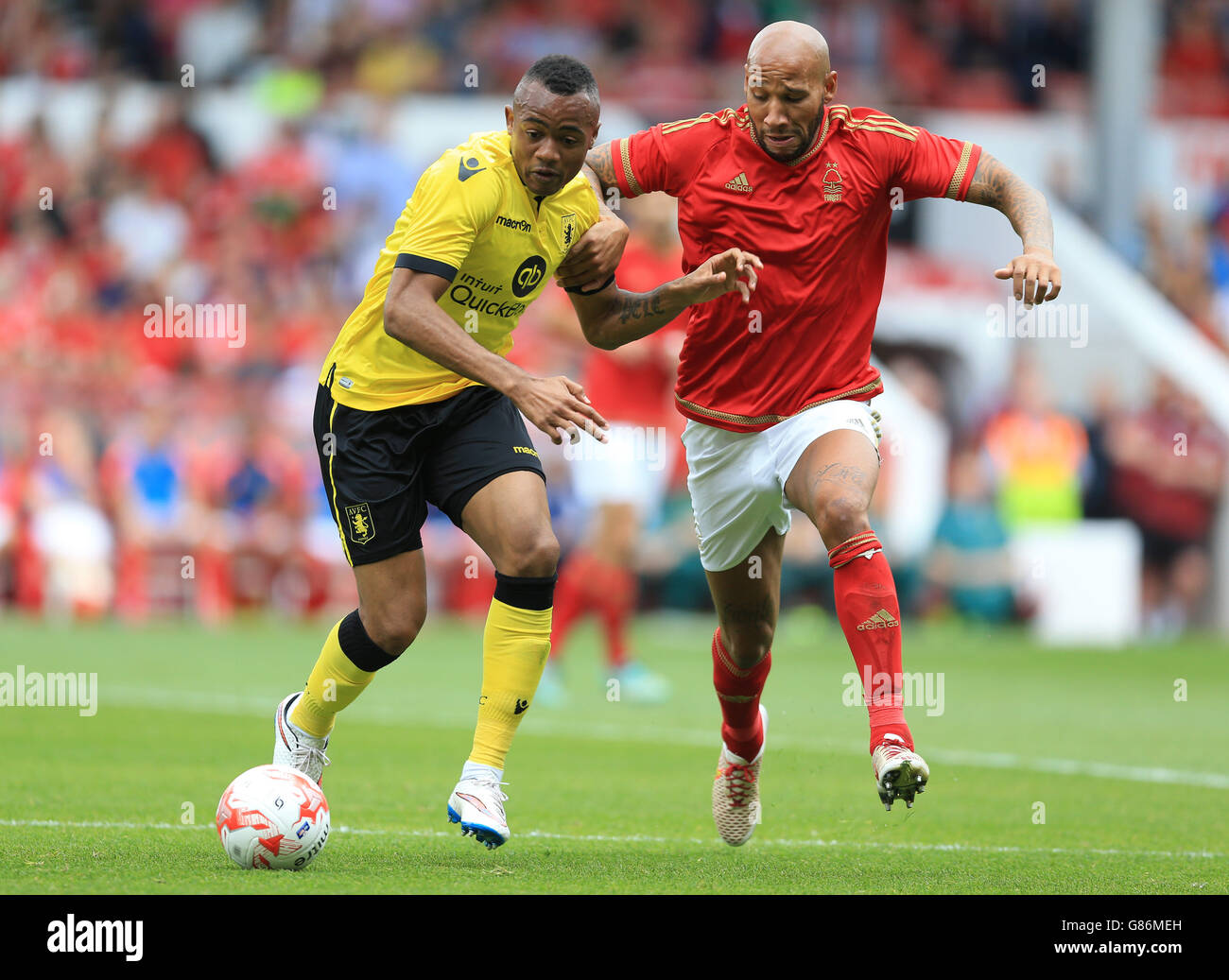 Kelvin wilson forest hi-res stock photography and images - Alamy