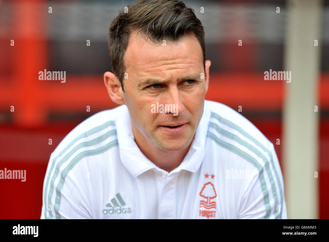 Soccer forest rszpic soccer forest hi-res stock photography and images ...