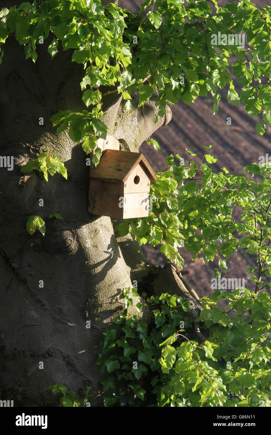 Box behind tree hi-res stock photography and images - Alamy
