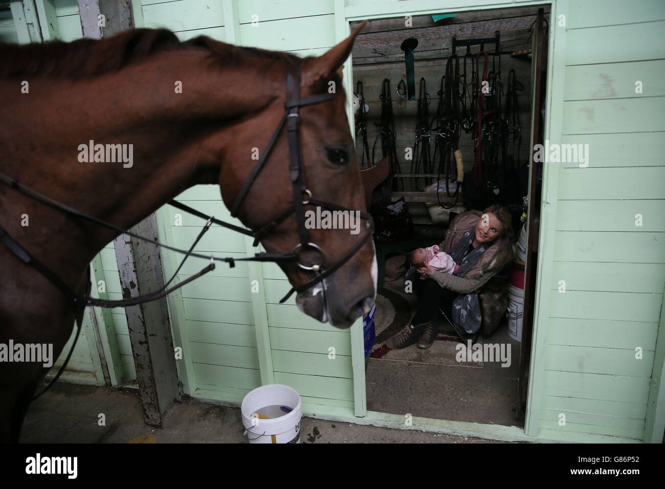 Dublin Horse Show Stock Photo - Alamy
