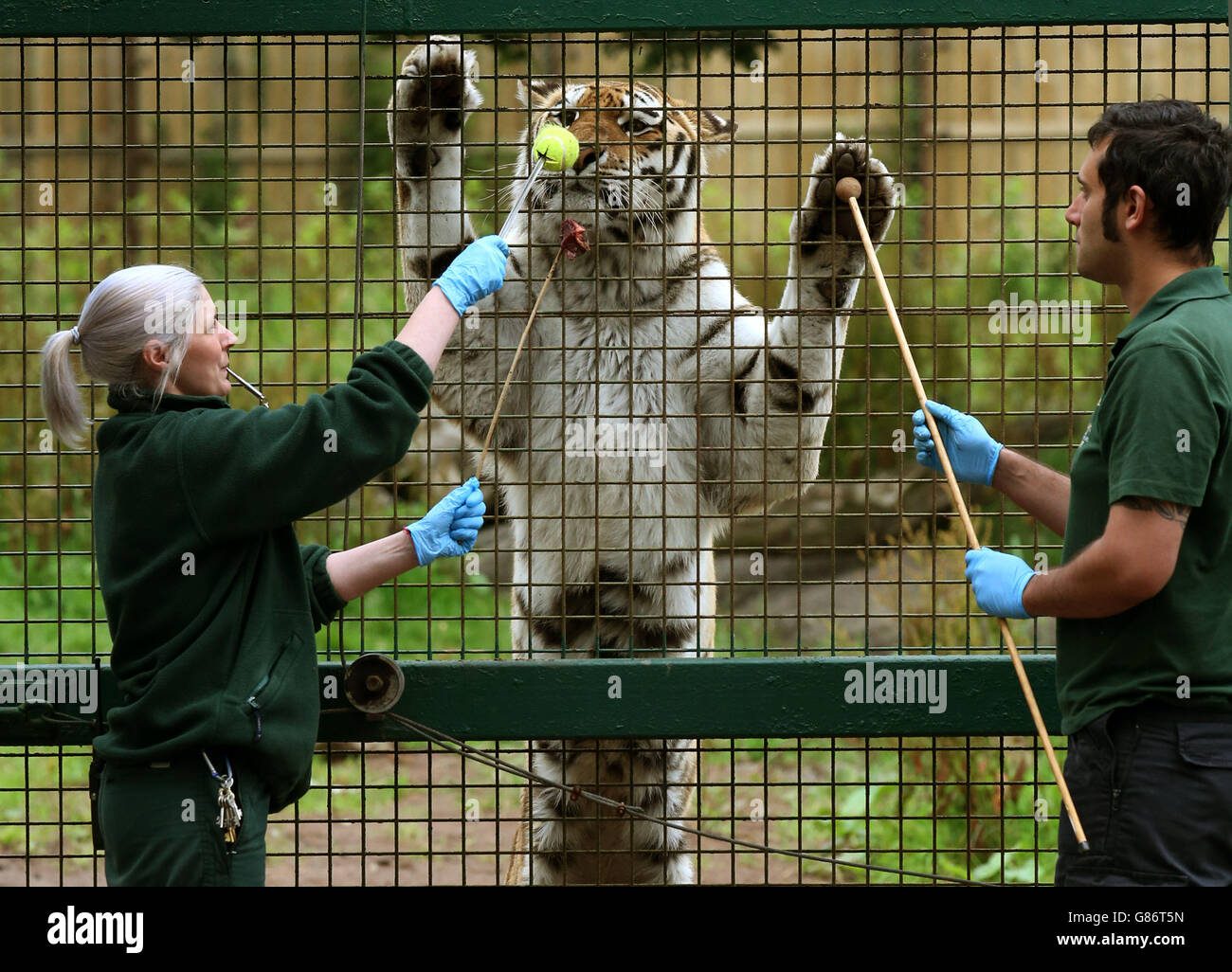 Blair Drummond Safari Park keepers Sandra Rainey (left) and Sam Clark ...