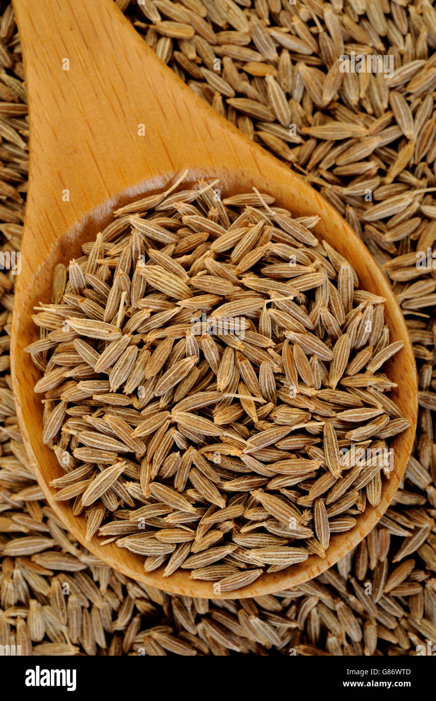 Wooden spoon cumin seeds hi-res stock photography and images - Alamy