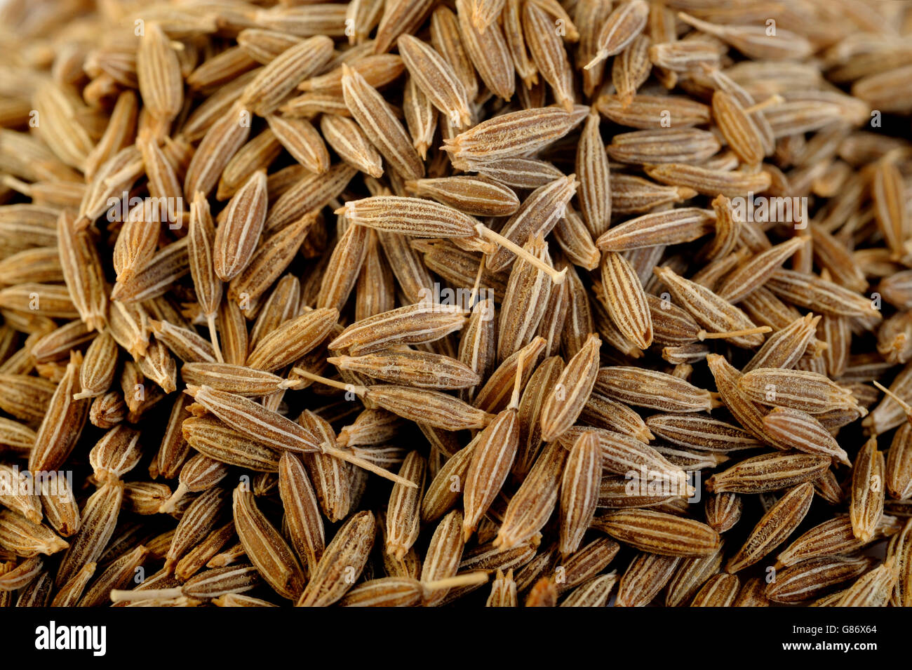 cumin seeds background Stock Photo - Alamy