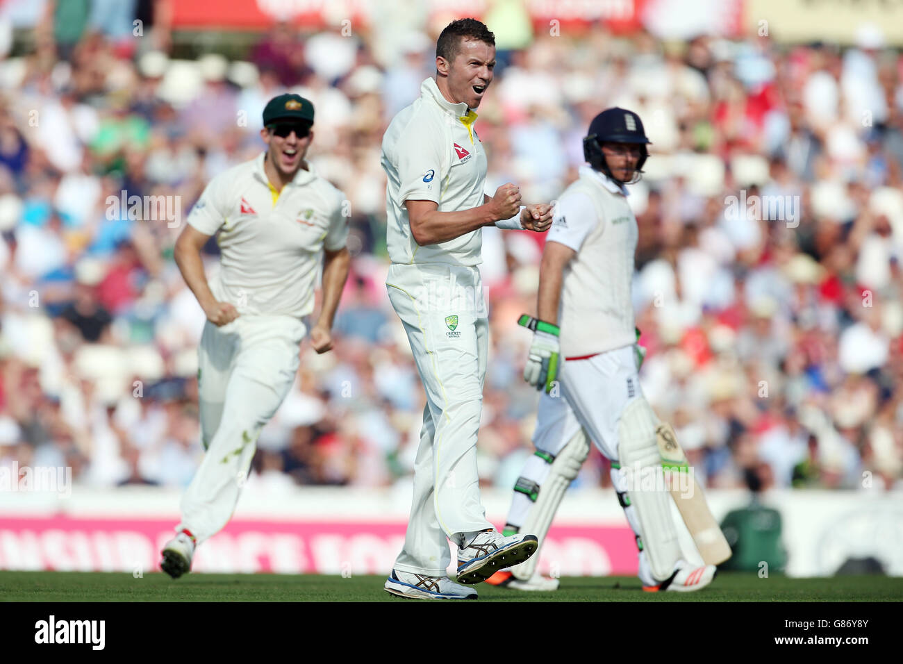 Australia's Peter Siddle celebrates taking the wicket of Adam Lyth ...