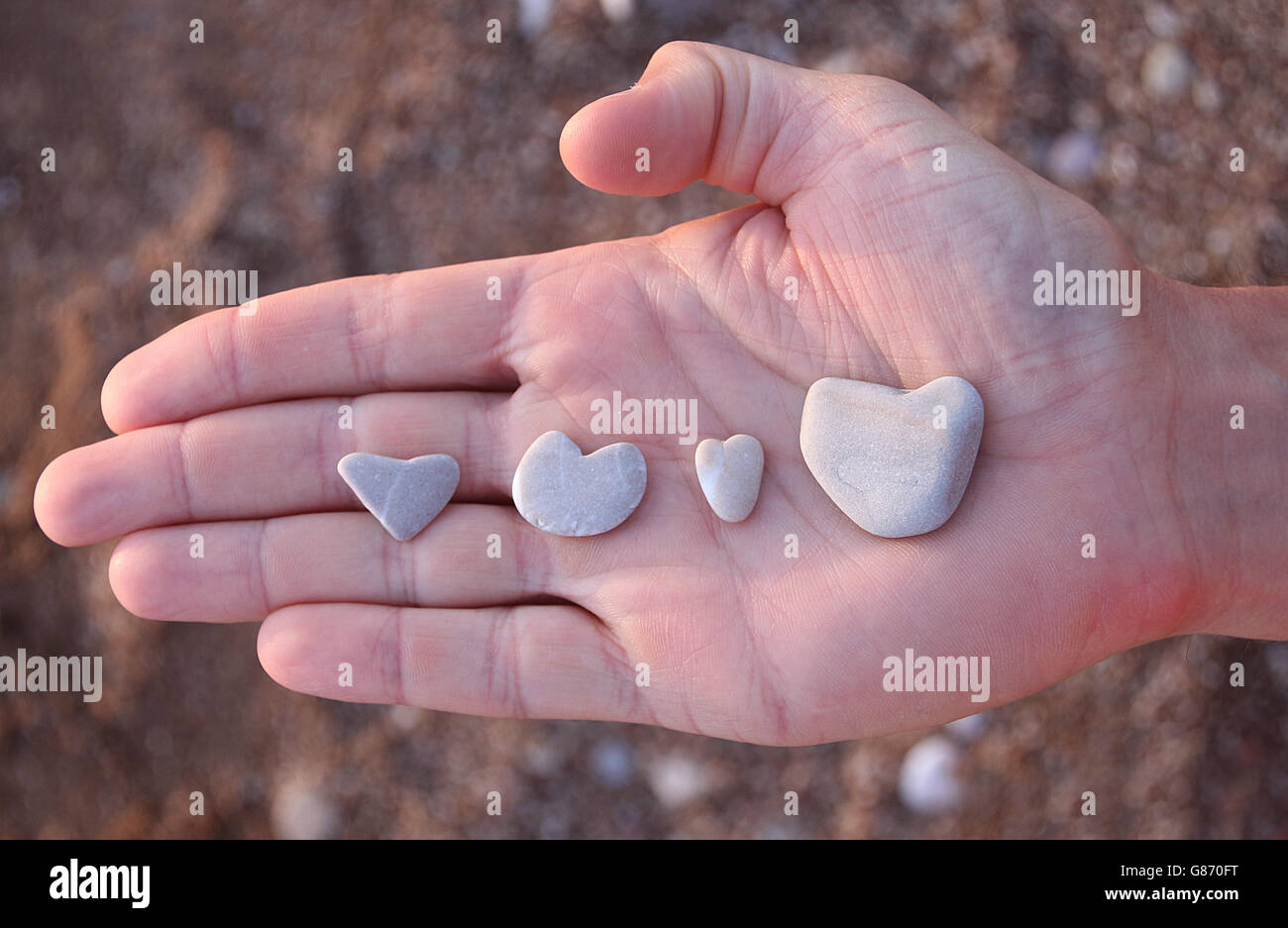Hand holding heart shaped pebbles Stock Photo - Alamy