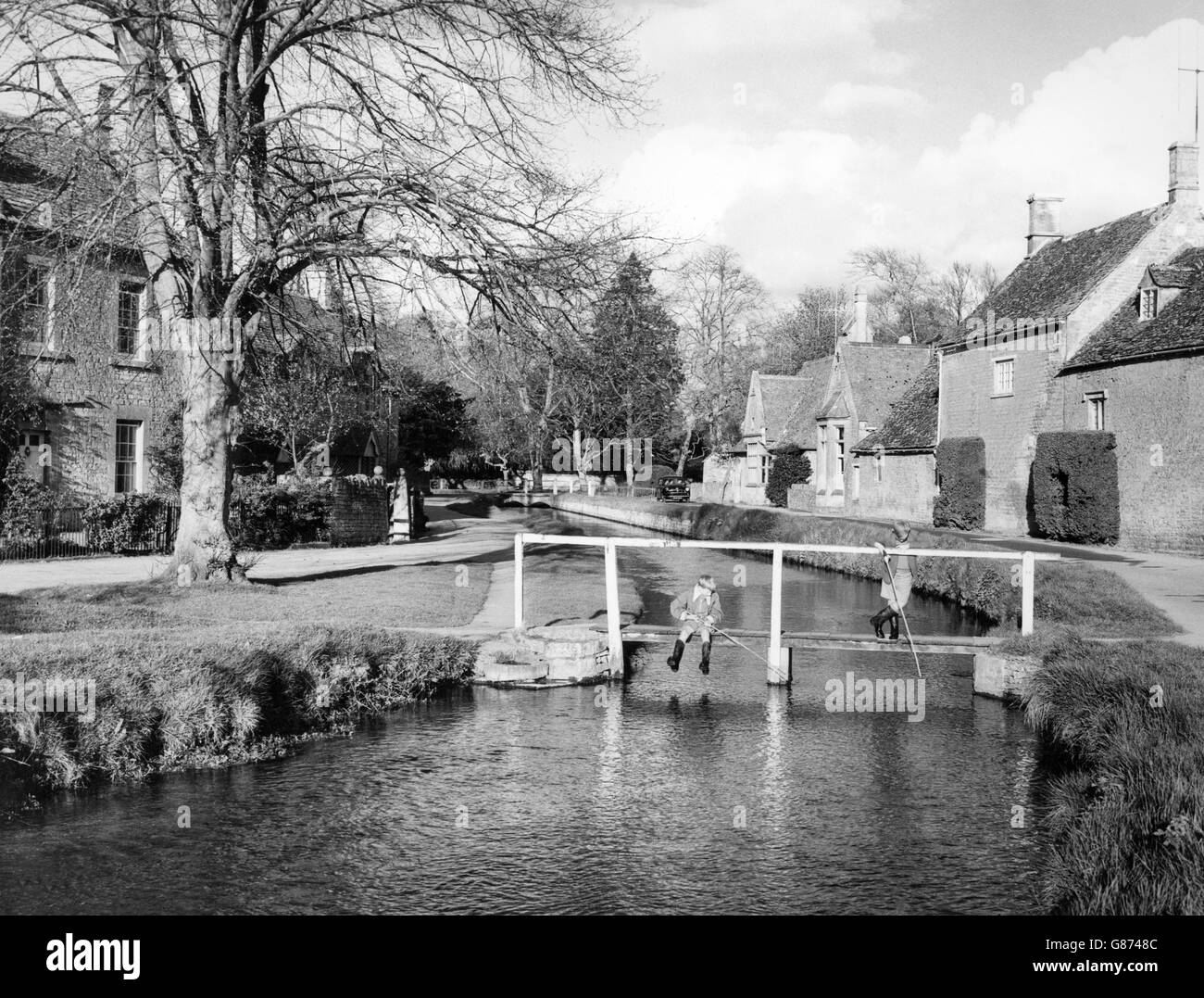 Slaughter hi-res stock photography and images - Alamy