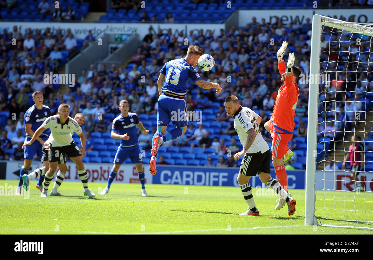 Cardiff City's Anthony Pilkington heads the ball into the net only for ...