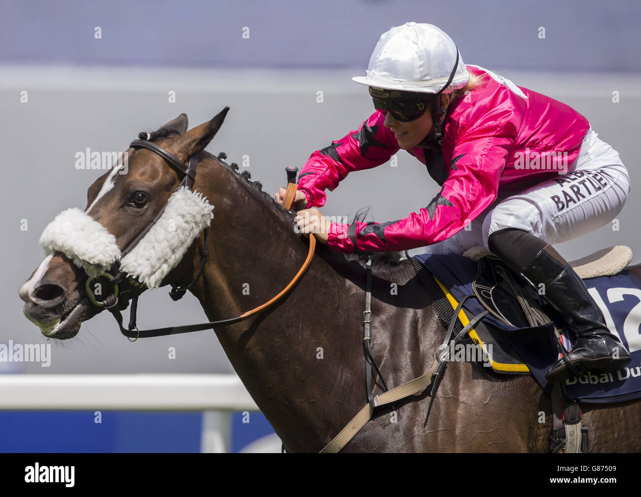 Wins dubai duty free shergar cup stayers ascot racecourse hi-res stock ...