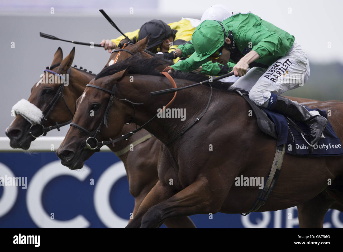 Shergar horse hi-res stock photography and images - Alamy