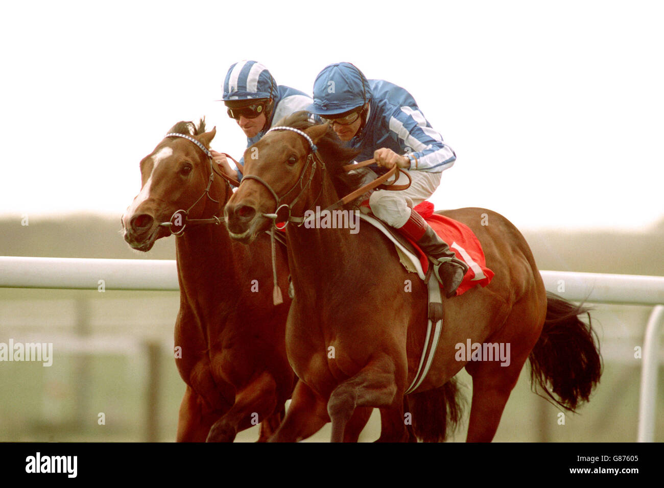 Horse Racing - Newmarket races Stock Photo - Alamy