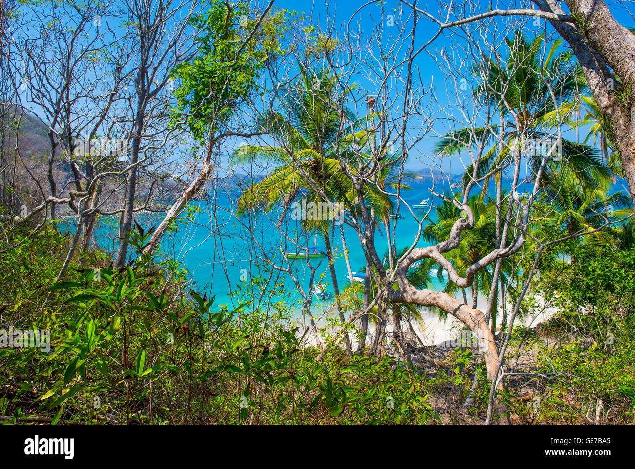 Tortuga island hi-res stock photography and images - Alamy