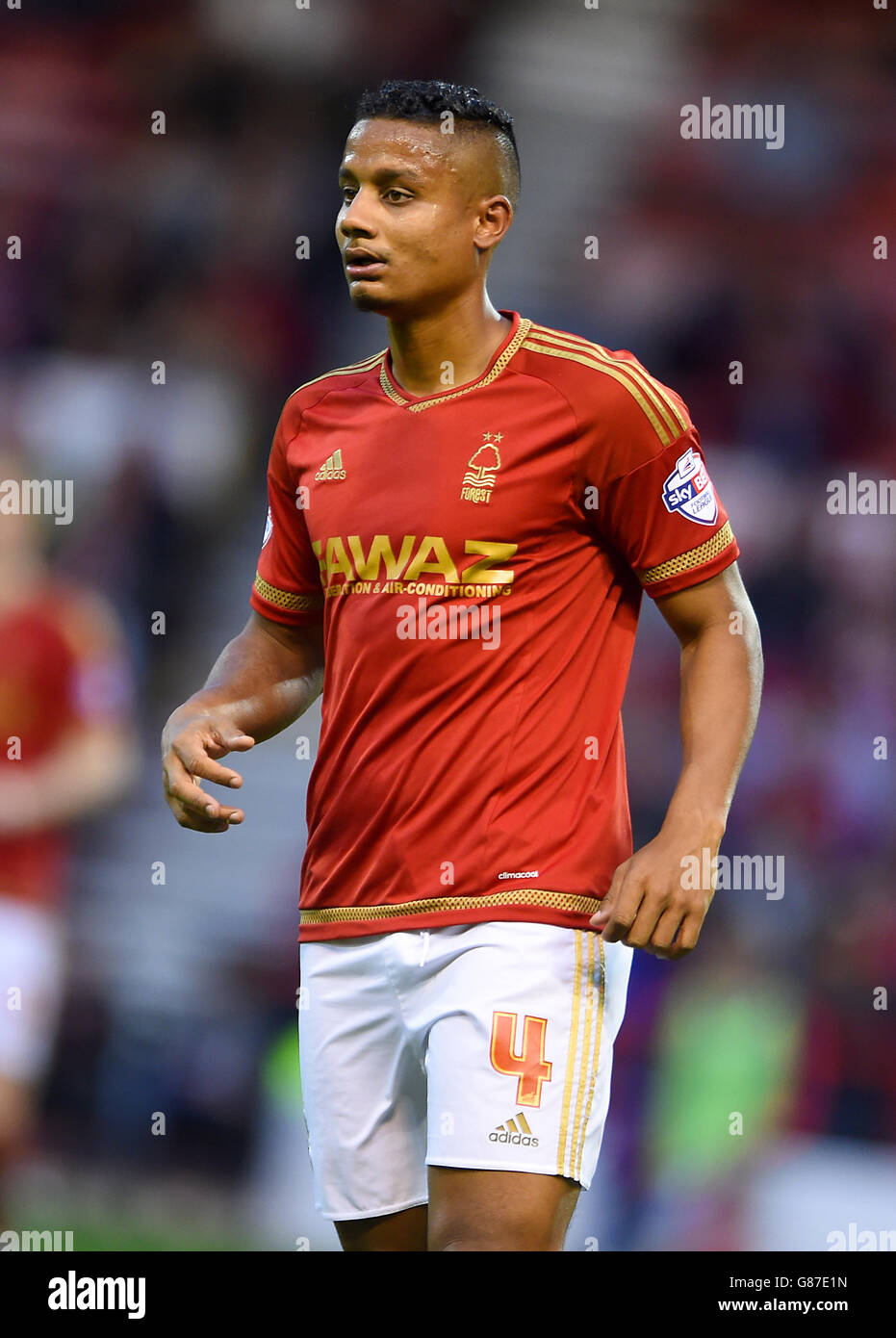 Michael mancienne forest hi-res stock photography and images - Alamy