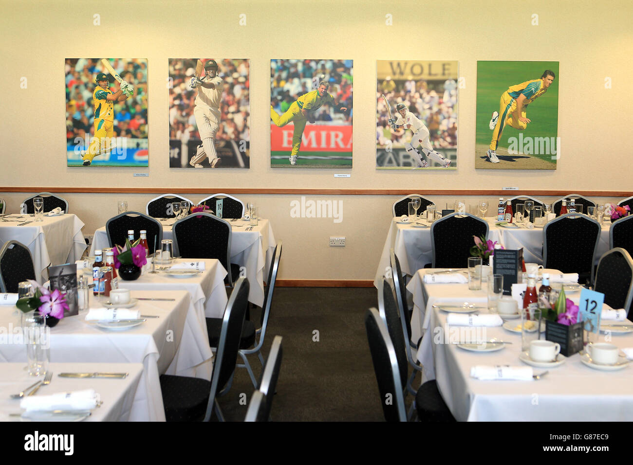 Cricket table layout hi-res stock photography and images - Alamy