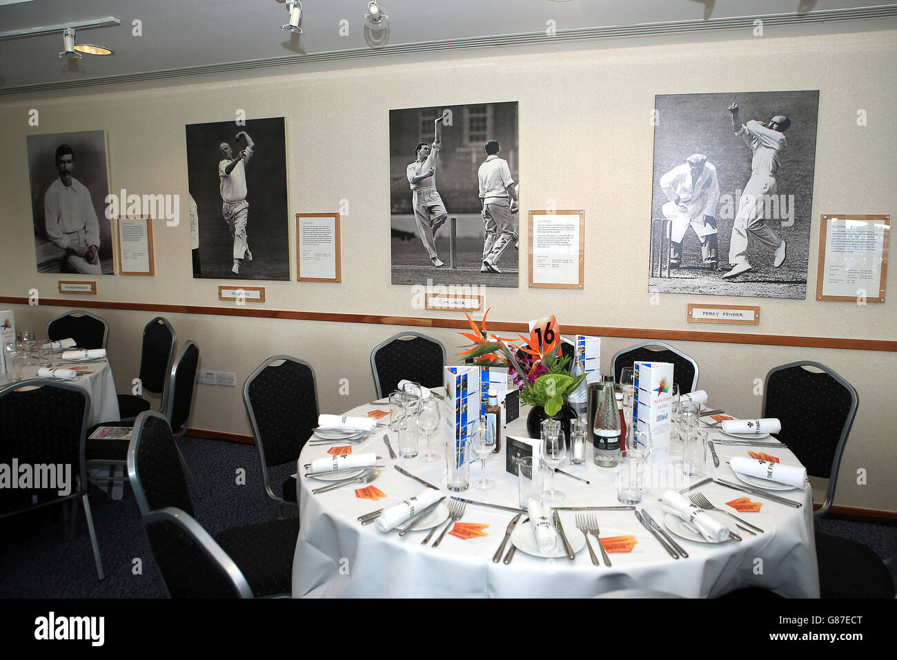 Cricket table layout hi-res stock photography and images - Alamy