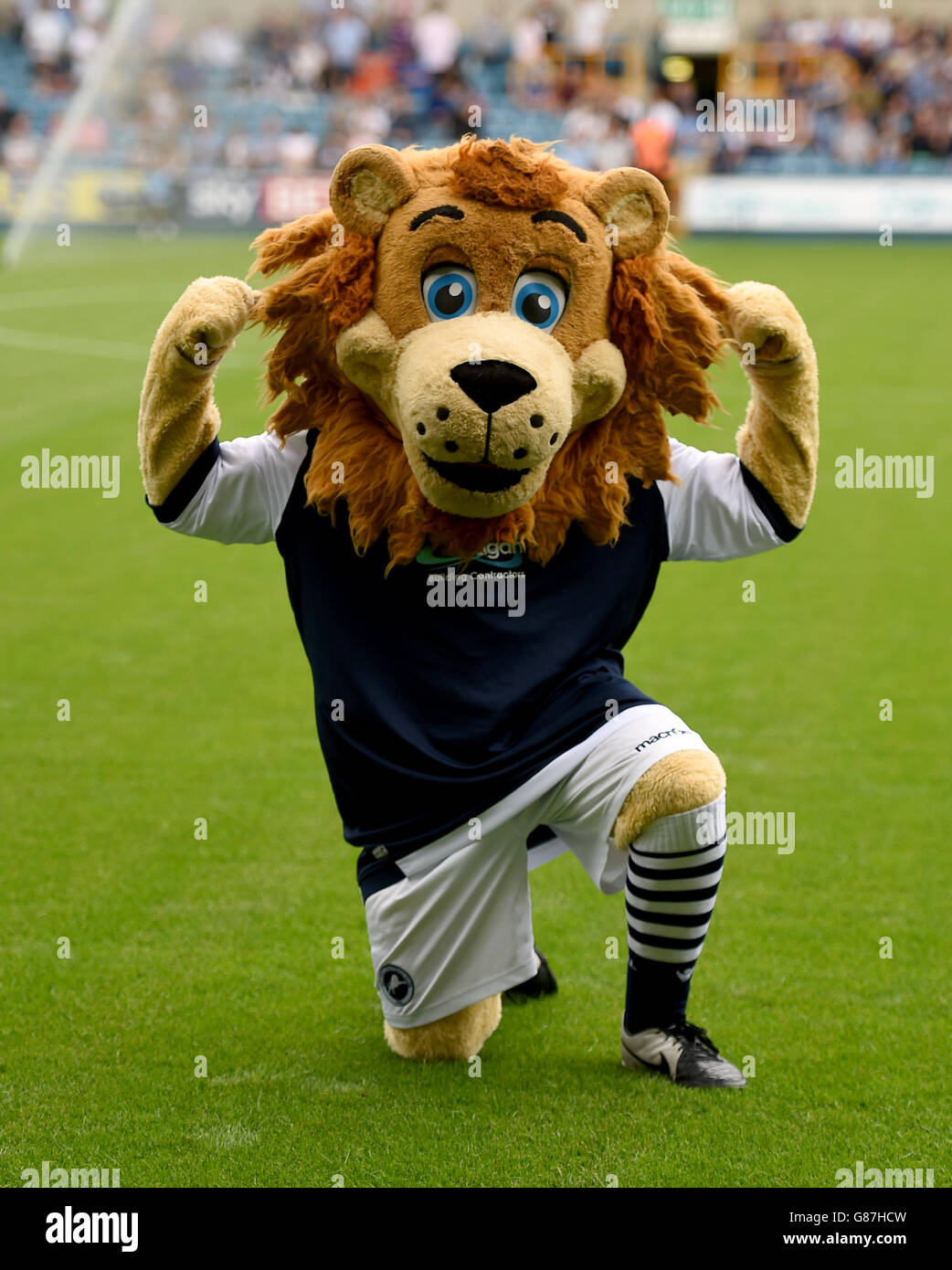 Millwall mascot zampa the lion hi-res stock photography and images - Alamy