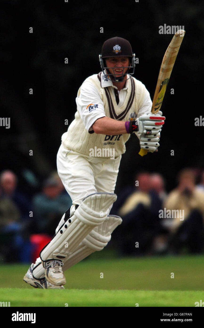 Ali brown cricket hi-res stock photography and images - Alamy