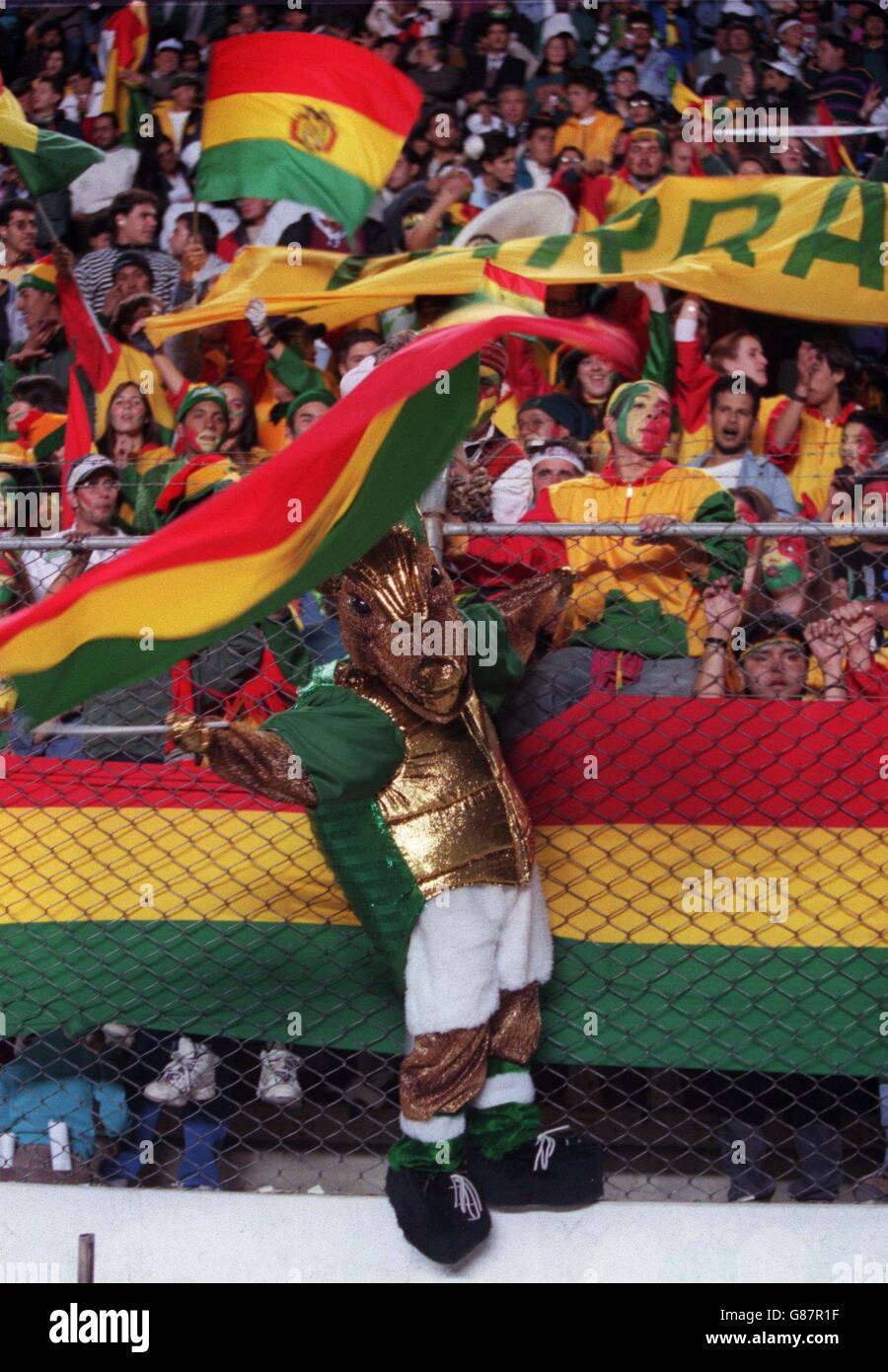 Soccer - Copa America, Bolivia v Colombia. Bolivian Fans, Bolivia ...