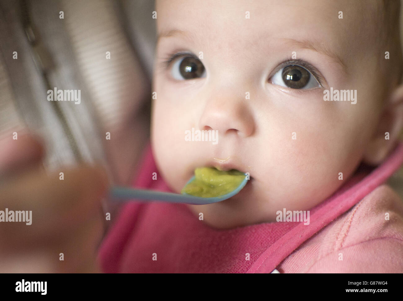 Charlotte Devlin, 6 months, eats puree during weaning Stock Photo - Alamy