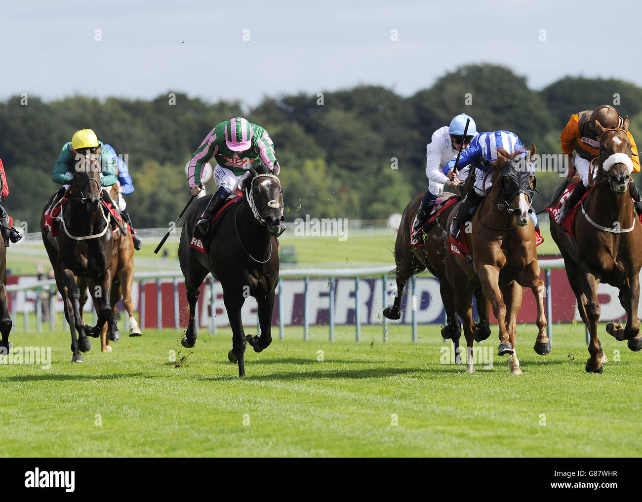 Horse Racing - Betfred Sprint Day - Haydock Racecourse Stock Photo - Alamy