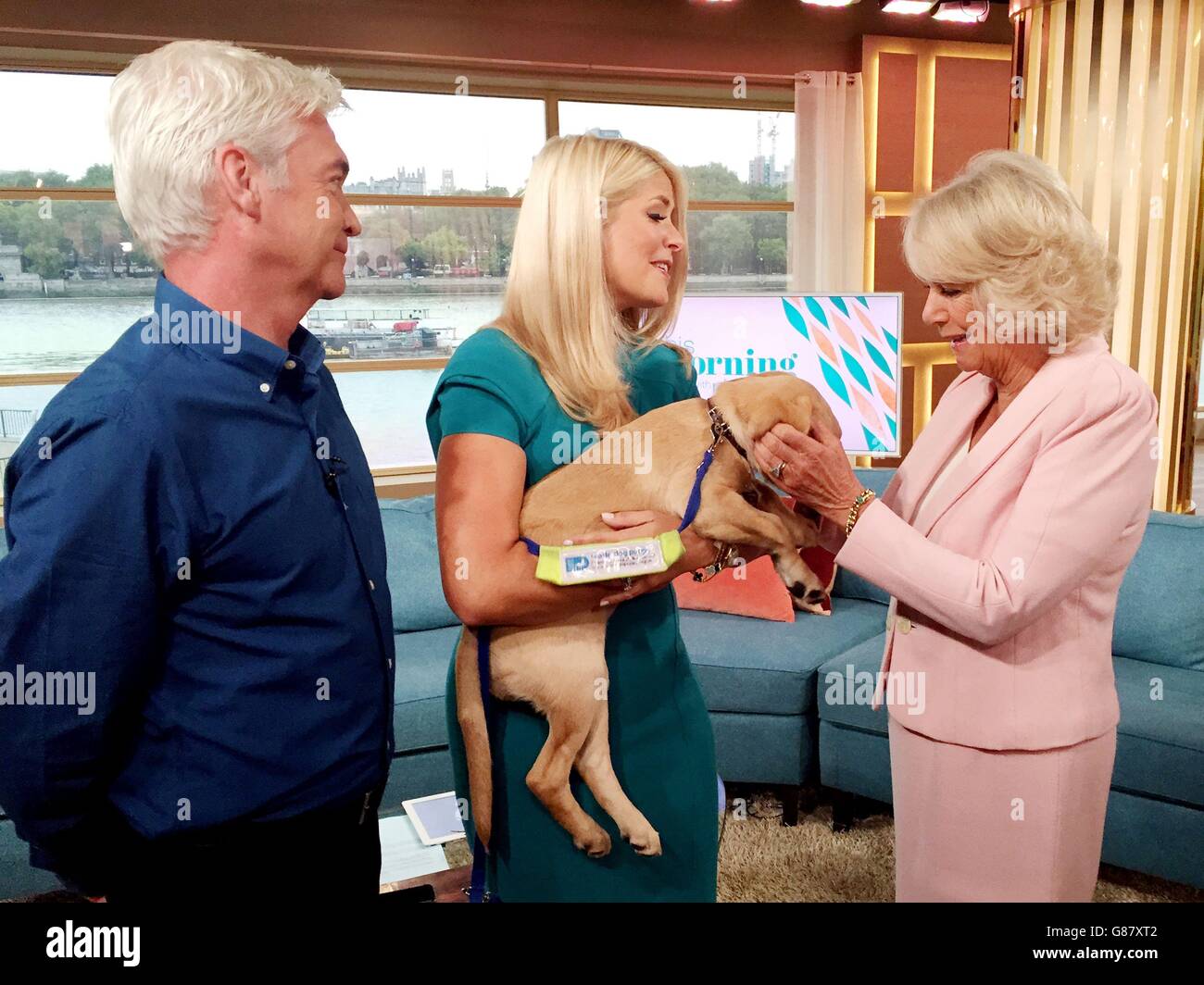 Itv News Presenter Stock Photos & Itv News Presenter Stock Images - Alamy