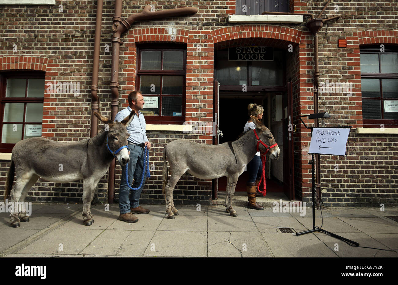 Donkeys Rusty (right) aged 20, with owner Tracy Hunt and Ollie (left ...