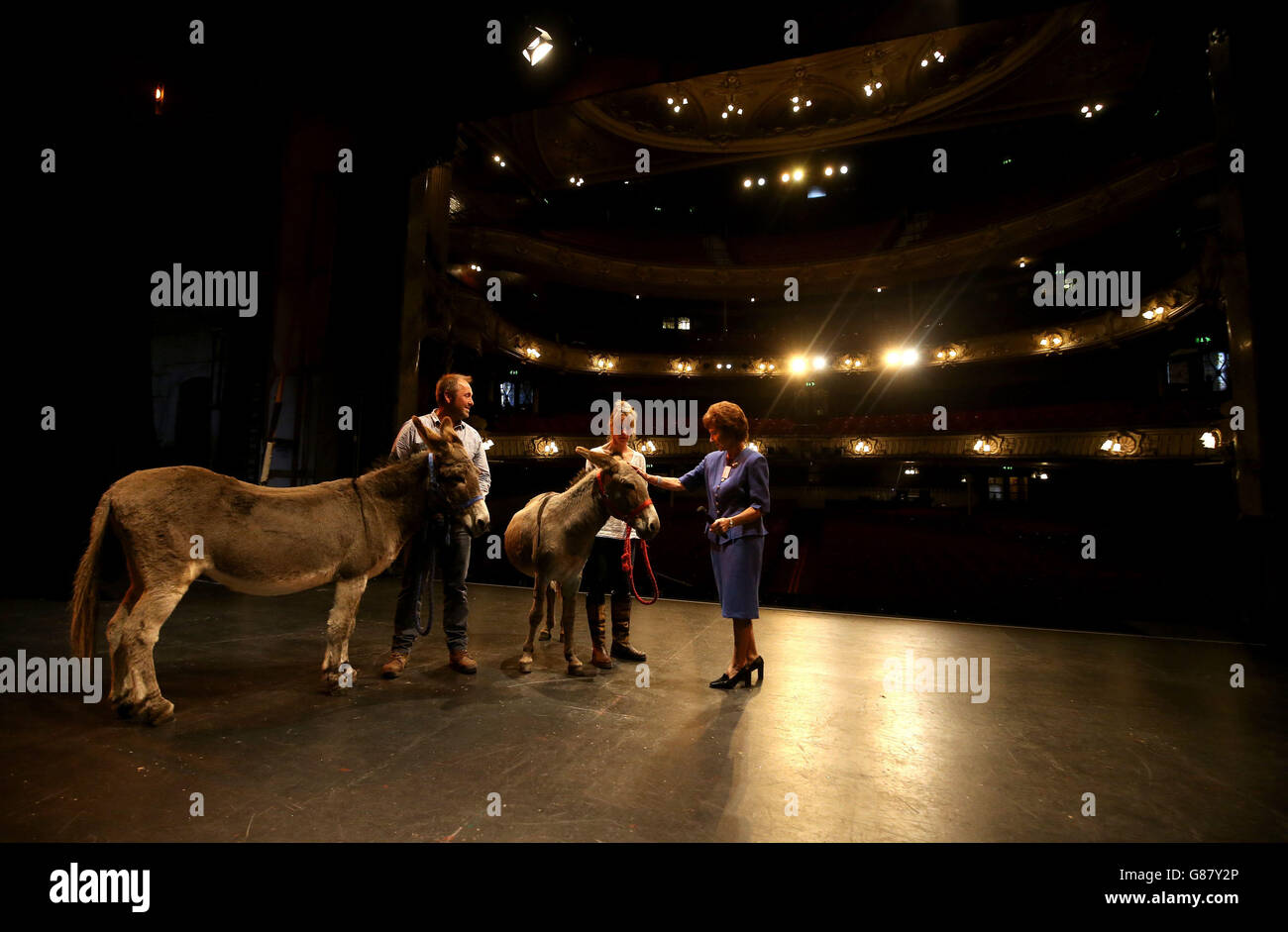 Donkeys Rusty (centre) aged 20, with owner Tracy Hunt, and Ollie (left ...