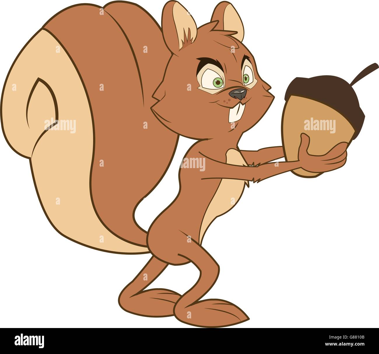 squirrel cartoon icon Stock Vector Image & Art - Alamy