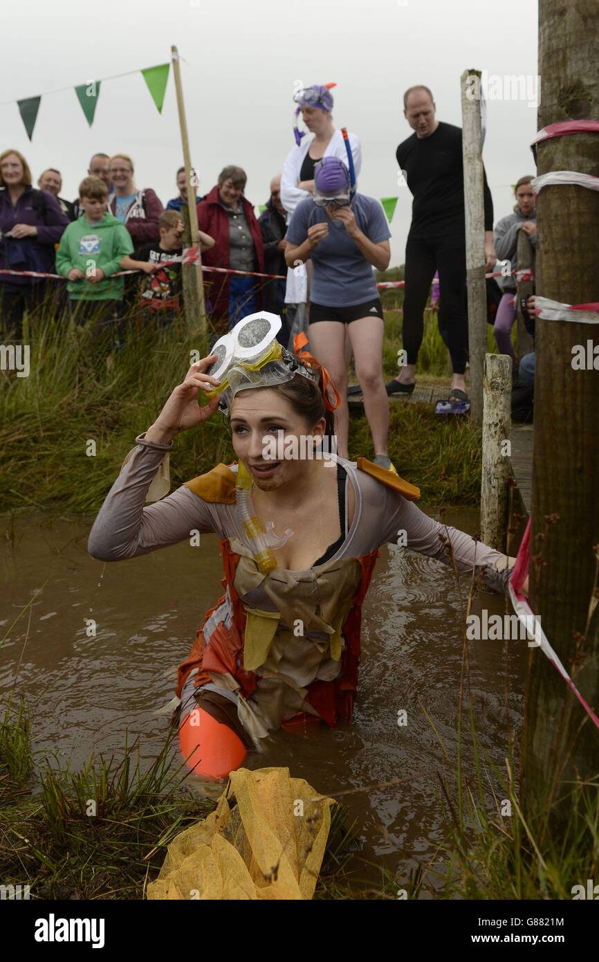 World Bog Snorkelling Championships 2015 Stock Photo - Alamy