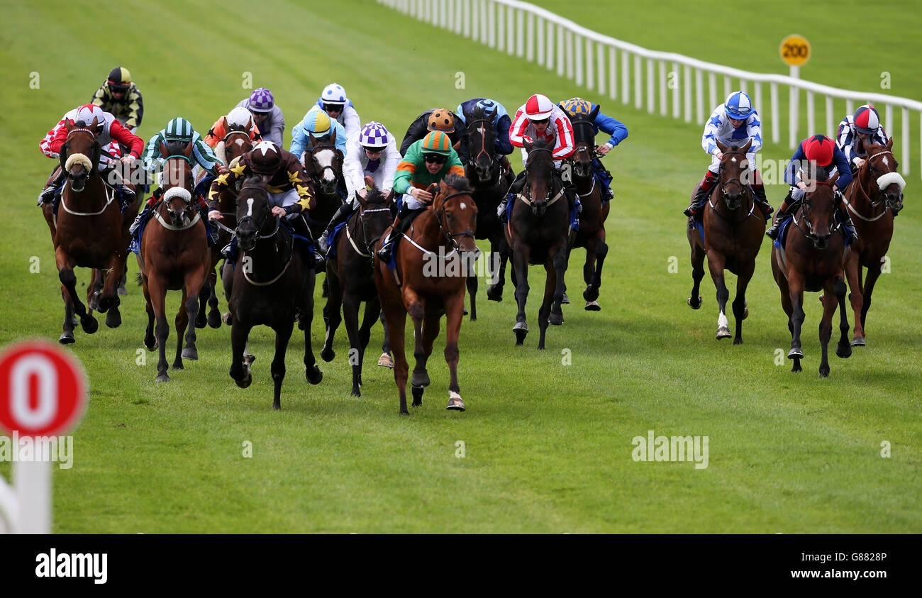 Ross osullivan horse hi-res stock photography and images - Alamy