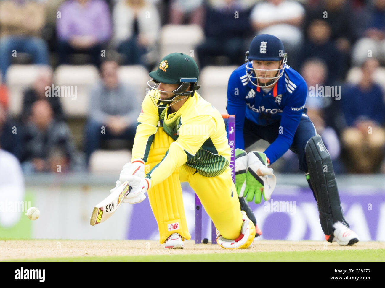 Wicket keeper matthew wade hi-res stock photography and images - Alamy
