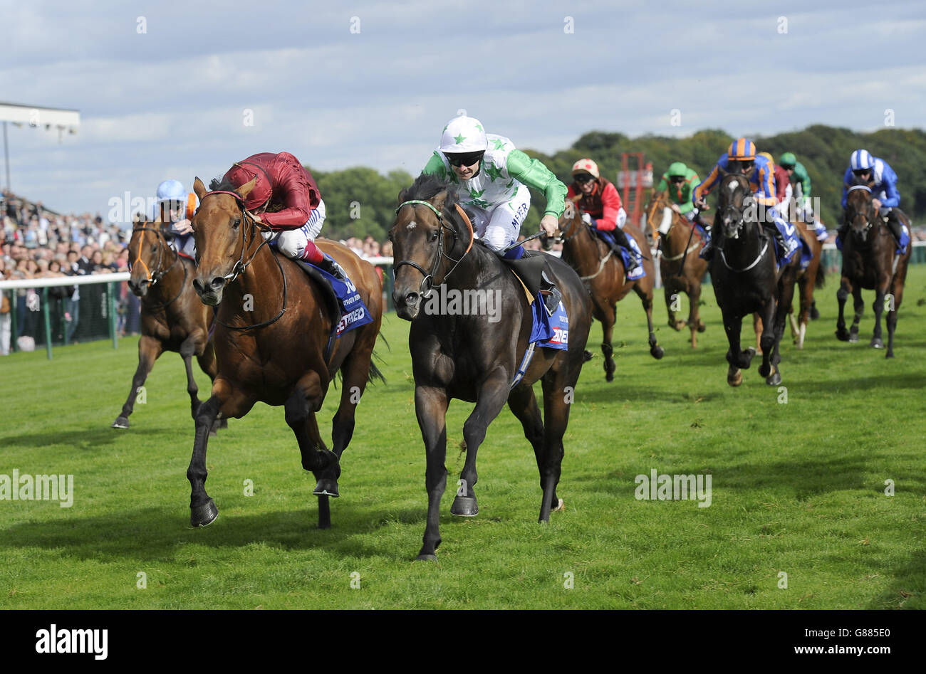 Horse Racing - Betfred Sprint Day - Haydock Racecourse Stock Photo - Alamy