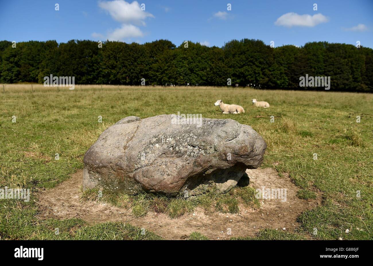 The Cuckoo Stone, a singular sarsen stone lying near to the Durrington ...