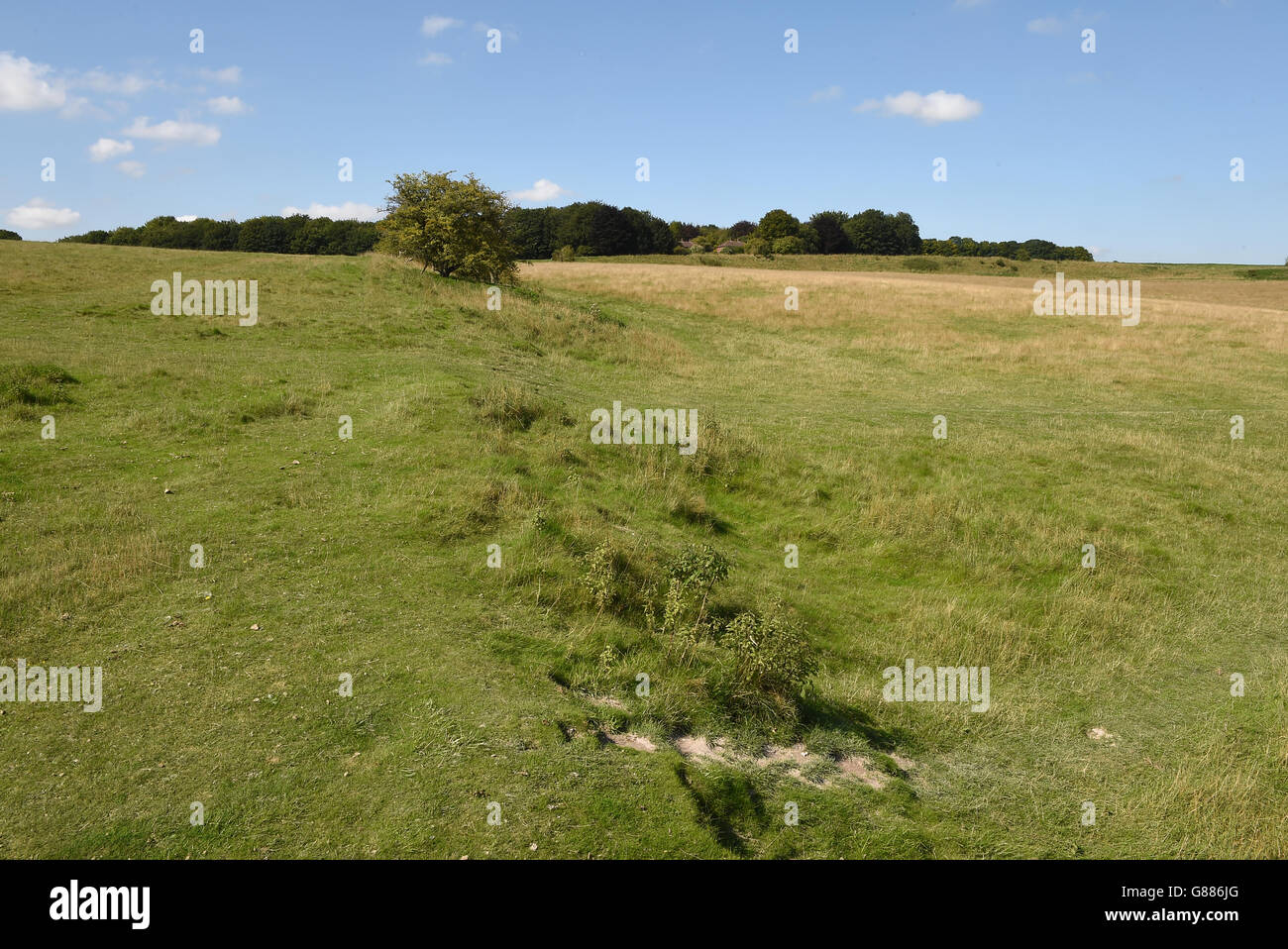 Durrington walls monoliths hi-res stock photography and images - Alamy