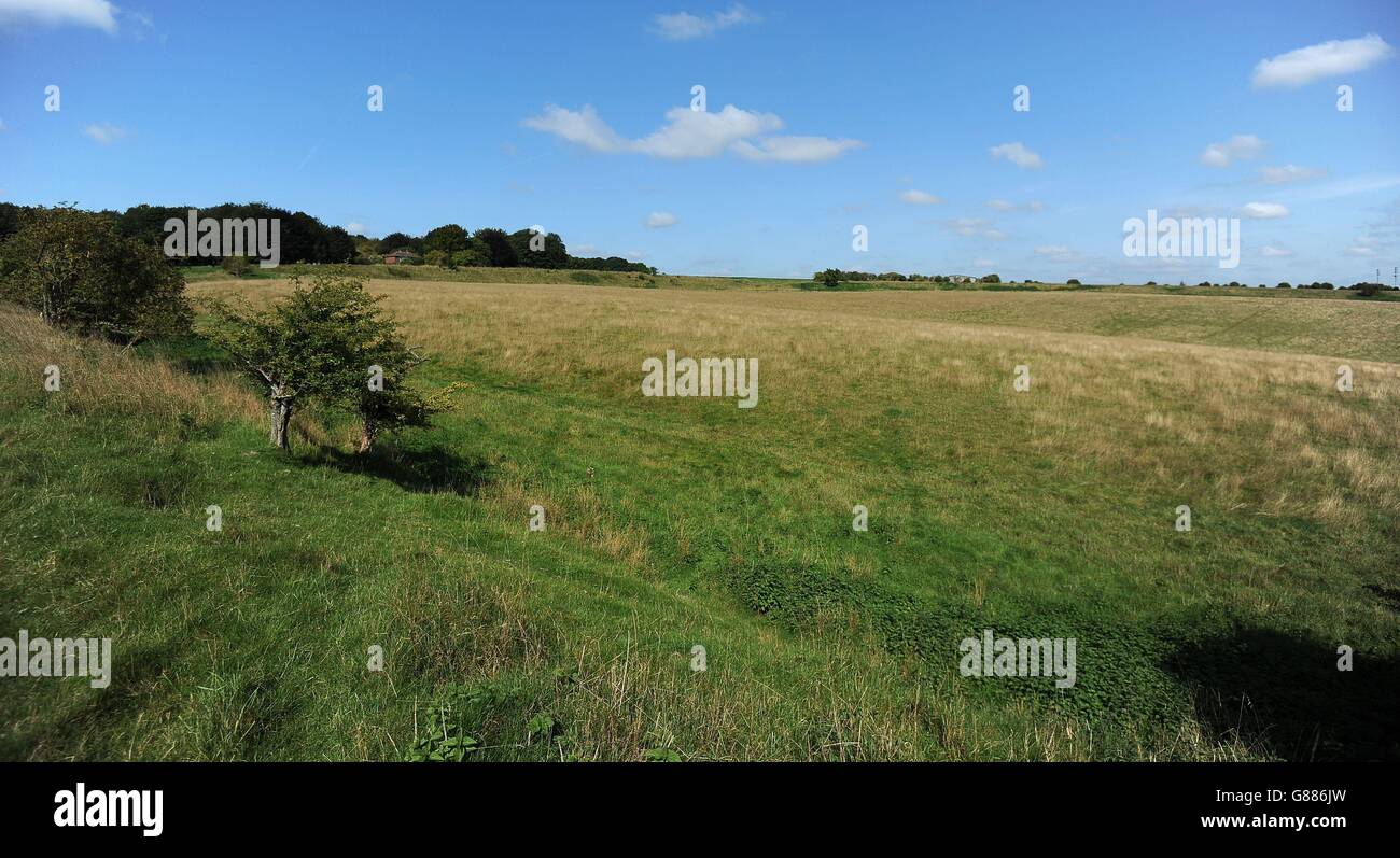 Durrington Walls monoliths Stock Photo - Alamy