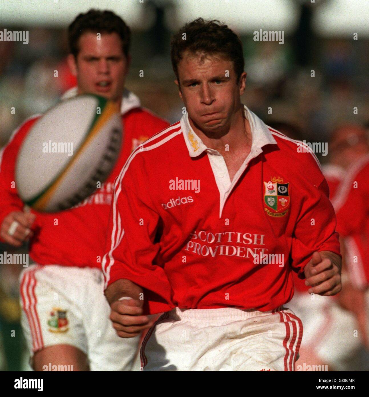 British lions catt hi-res stock photography and images - Alamy