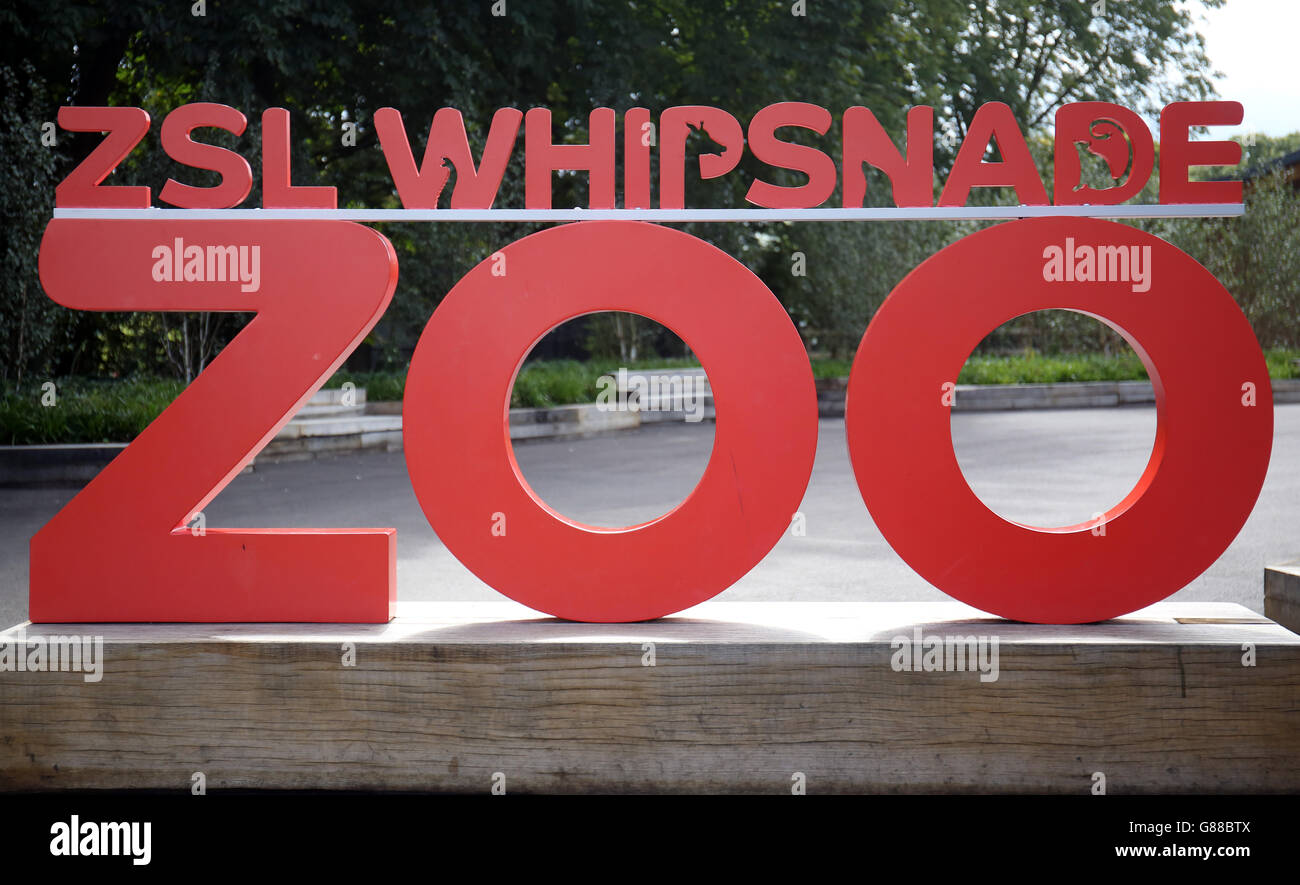Whipsnade Zoo stock. General view of the entrance to ZSL Whipsnade Zoo ...