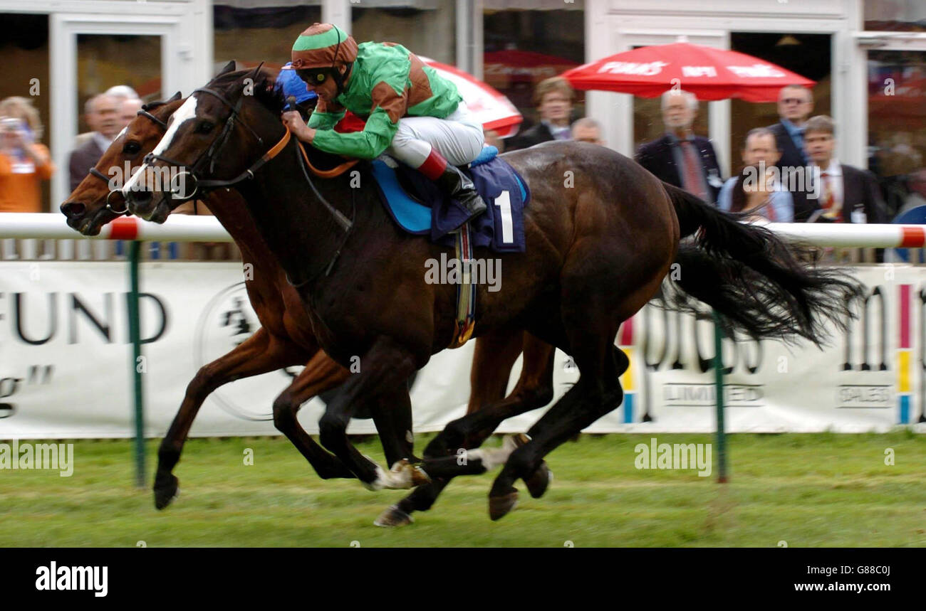 Horse Racing - Newmarket Rowley Mile Racecourse Stock Photo - Alamy