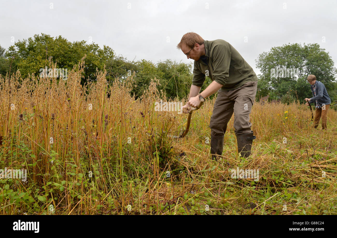 Scythes hi-res stock photography and images - Alamy