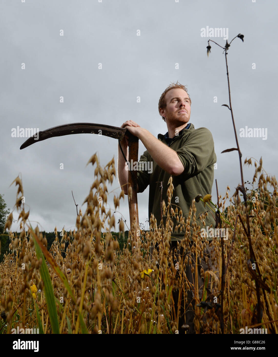 Scythes hi-res stock photography and images - Alamy